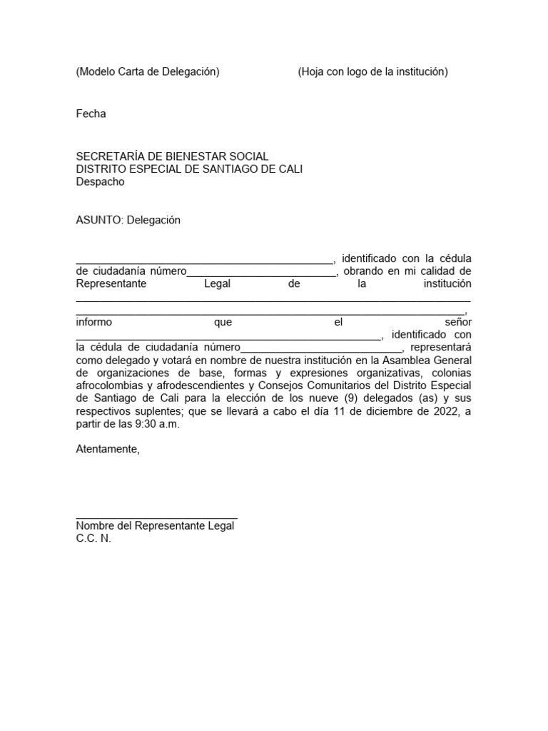 Modelo de Carta de Delegación Formal | PDF | Derecho
