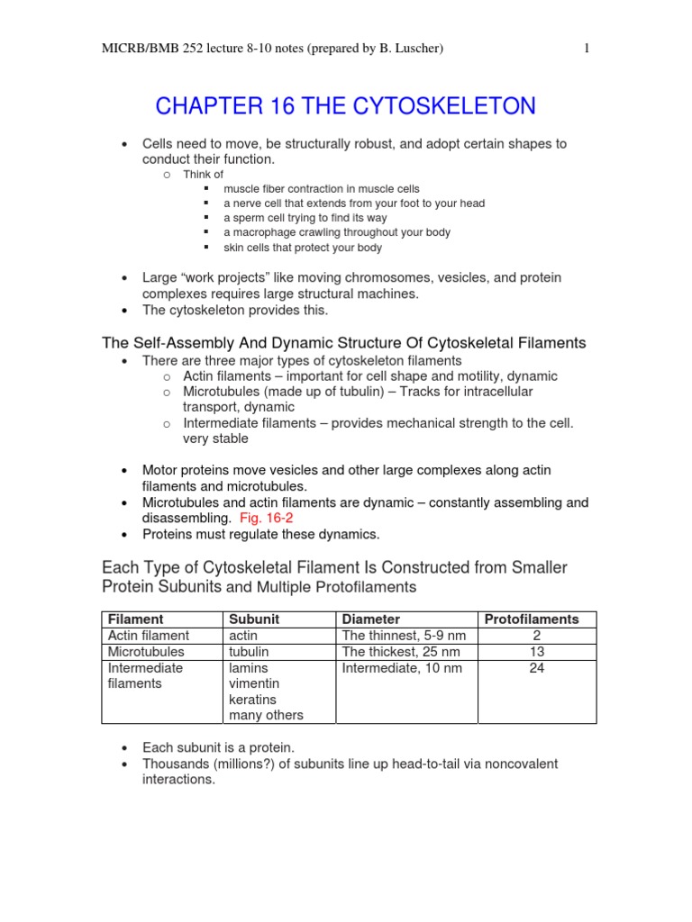 Lectures 8-10 Notes | PDF | Microtubule | Cytoskeleton