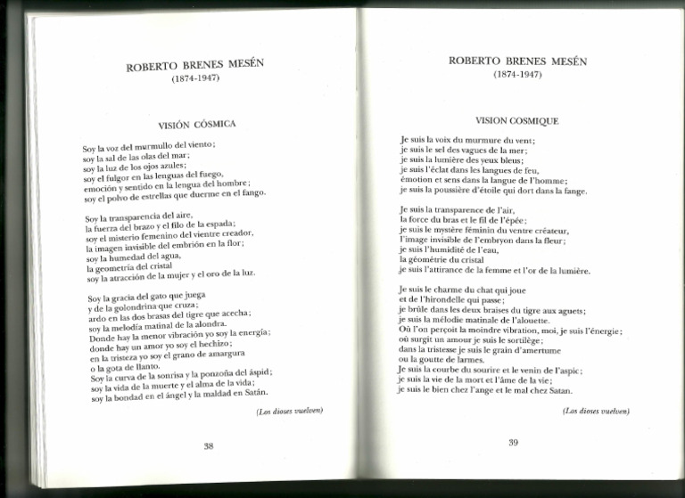 Visión Cósmica - Roberto Brenes Mesén-1 | PDF