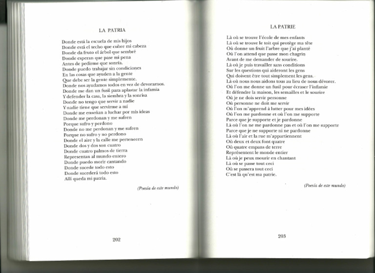 La Patria - Virginia Grutter | PDF