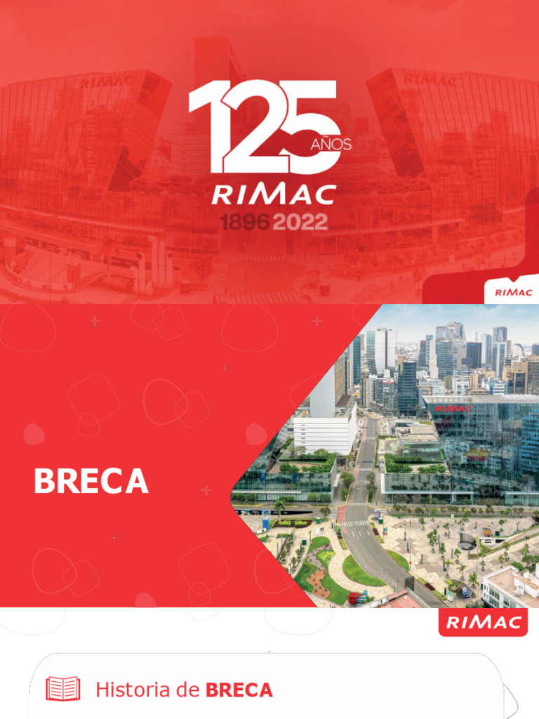 BRECA: Innovación y Oportunidades en Perú | PDF