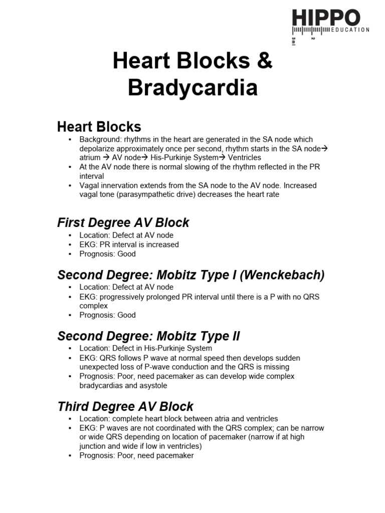 Hippo EM Board Review - Bradycardia - A Simplified Approach Written ...