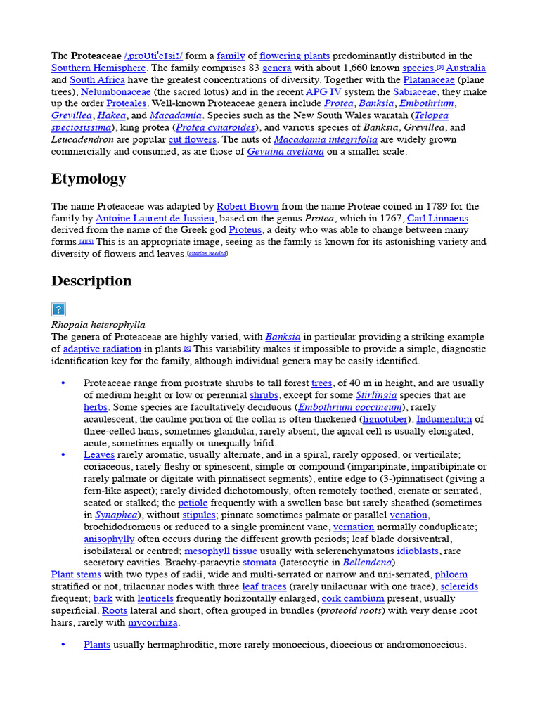 Etymology | PDF | Leaf | Plant Morphology