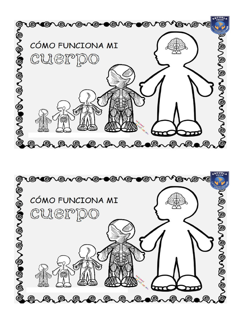 Los sistemas del cuerpo libro | PDF