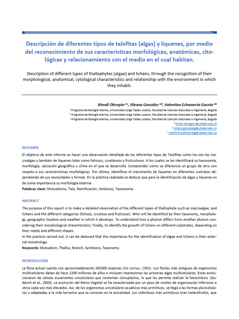Informe Lab. Talofitos y Liquenes | PDF | Algas | Plantas