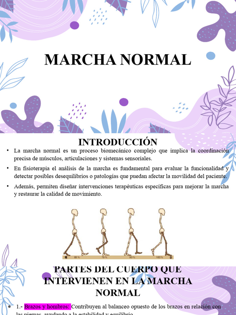 Marcha Normal | Descargar gratis PDF | Pie | Articulaciones