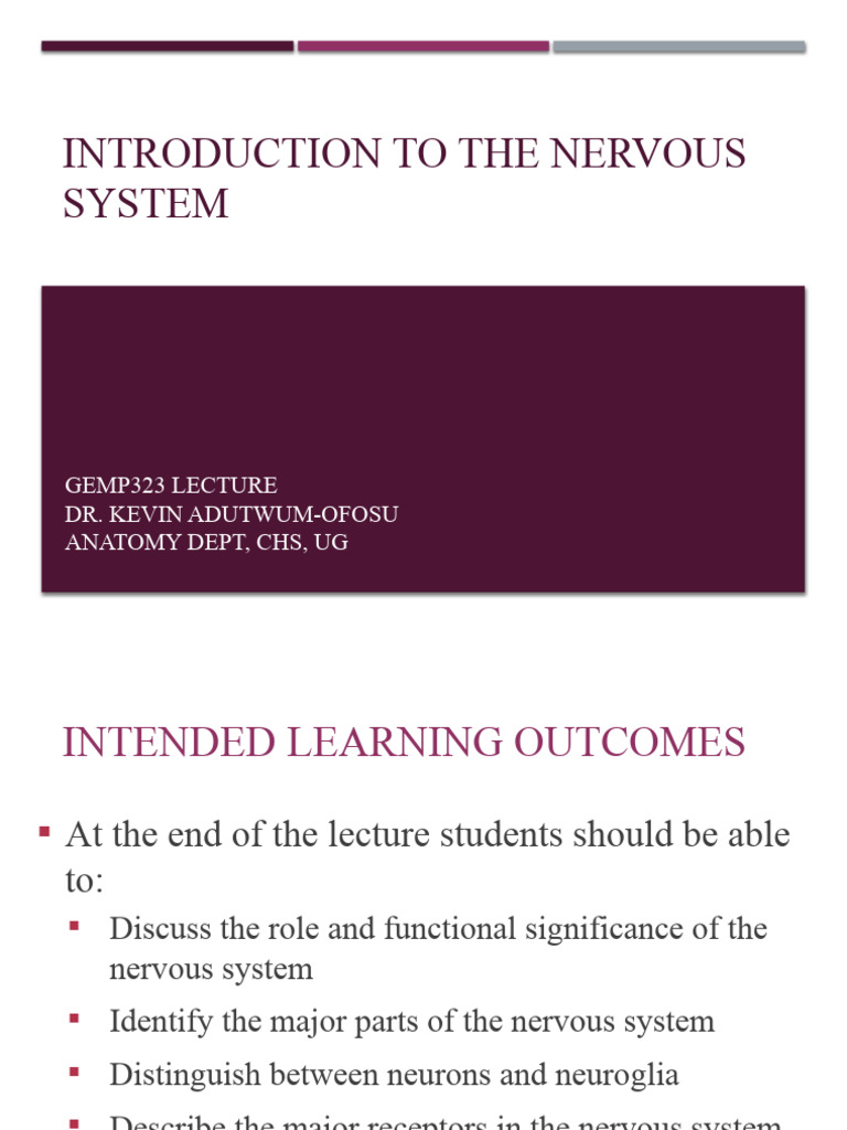 1 Introduction To The Nervous System | PDF | Central Nervous System | Nervous System