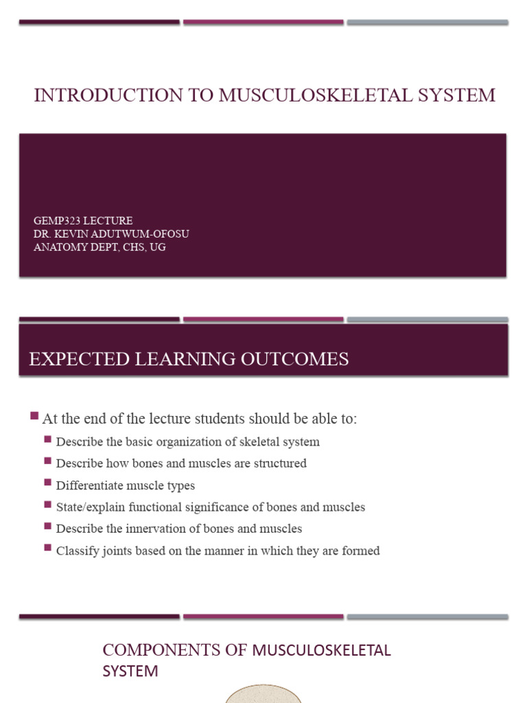 2 Introduction To Musculoskeletal System | PDF | Motor Neuron | Bone
