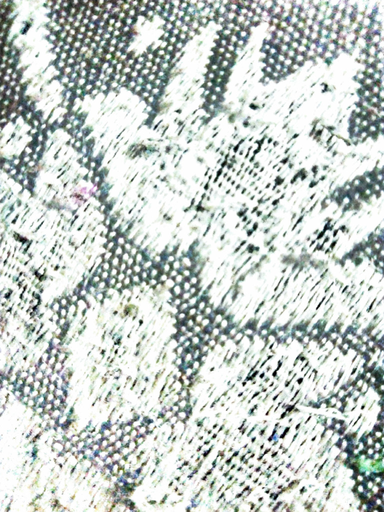 Adobe Scan 11 Apr 2024 | PDF