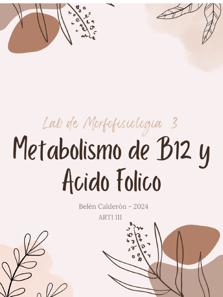 Lab Morfo N°3 Metabolismo de B12 y Acido Folico | PDF | Metionina | Vitamina B12