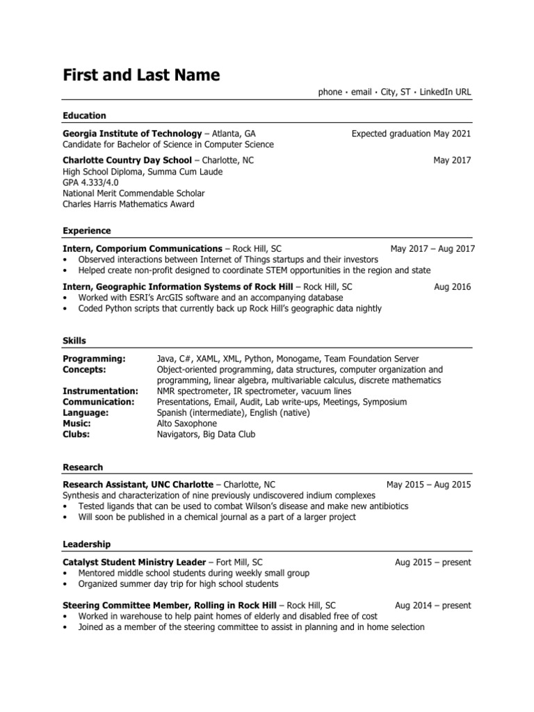 IT Student Resume Example | PDF | Computing | Information Technology