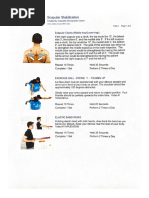 Scapular Stabilisation: Y-W-T Exercises | PDF
