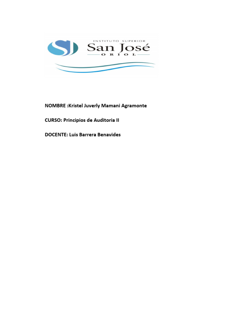 Cedula Sumaria | PDF | Auditoría | Gobierno corporativo