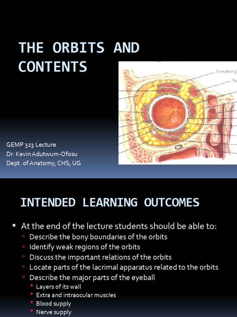 15 Orbit and Content | PDF | Anatomy | Human Head And Neck