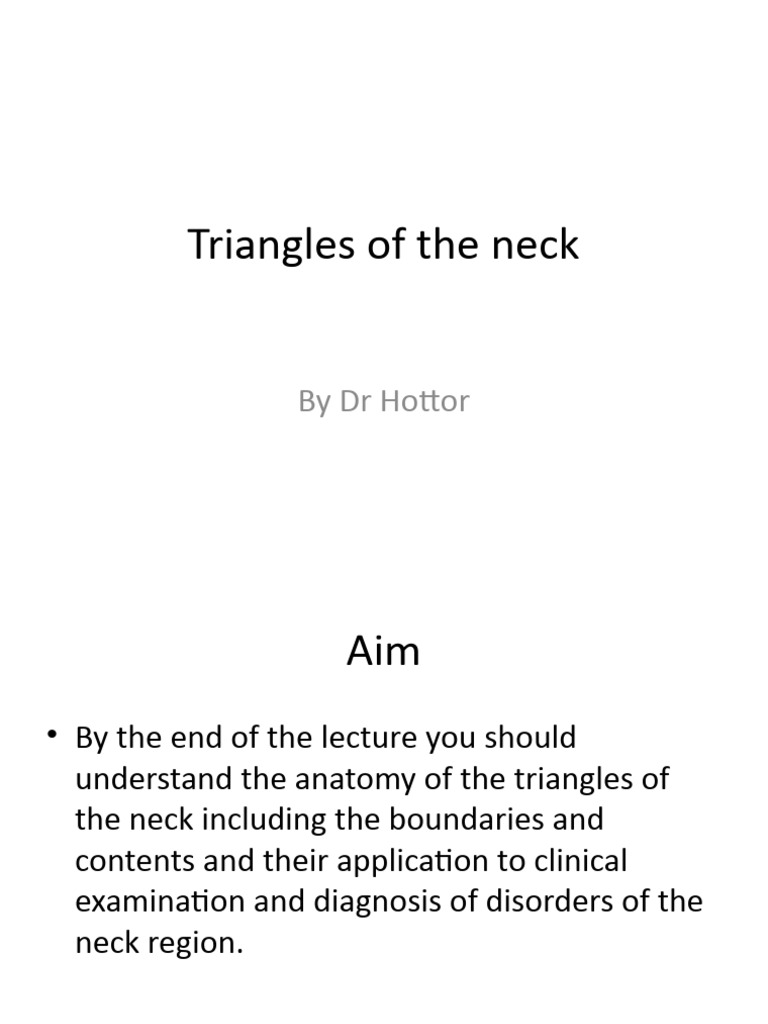 Anatomy of Neck Triangles Explained | PDF | Neck | Common Carotid Artery