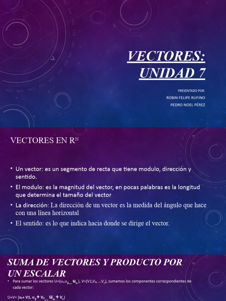 Conceptos Clave de Vectores en RN | PDF