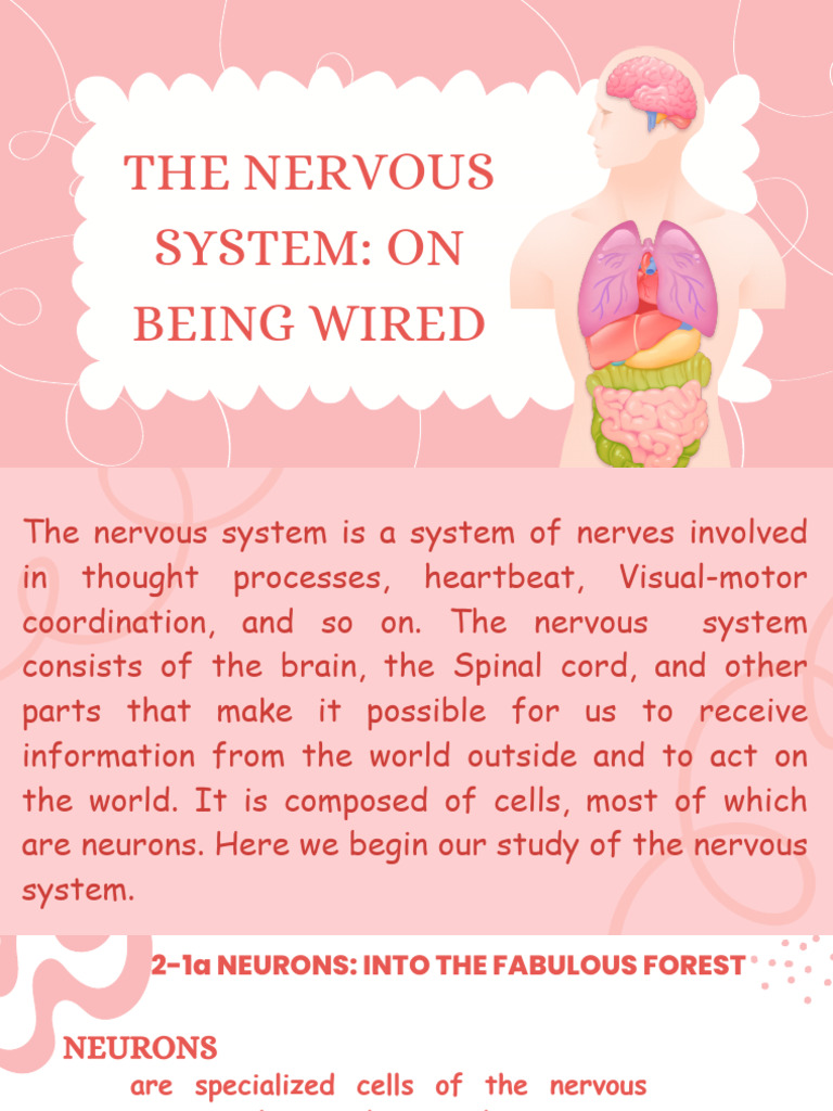 The Nervous System On Being Wired | Download Free PDF | Neuron | Action ...