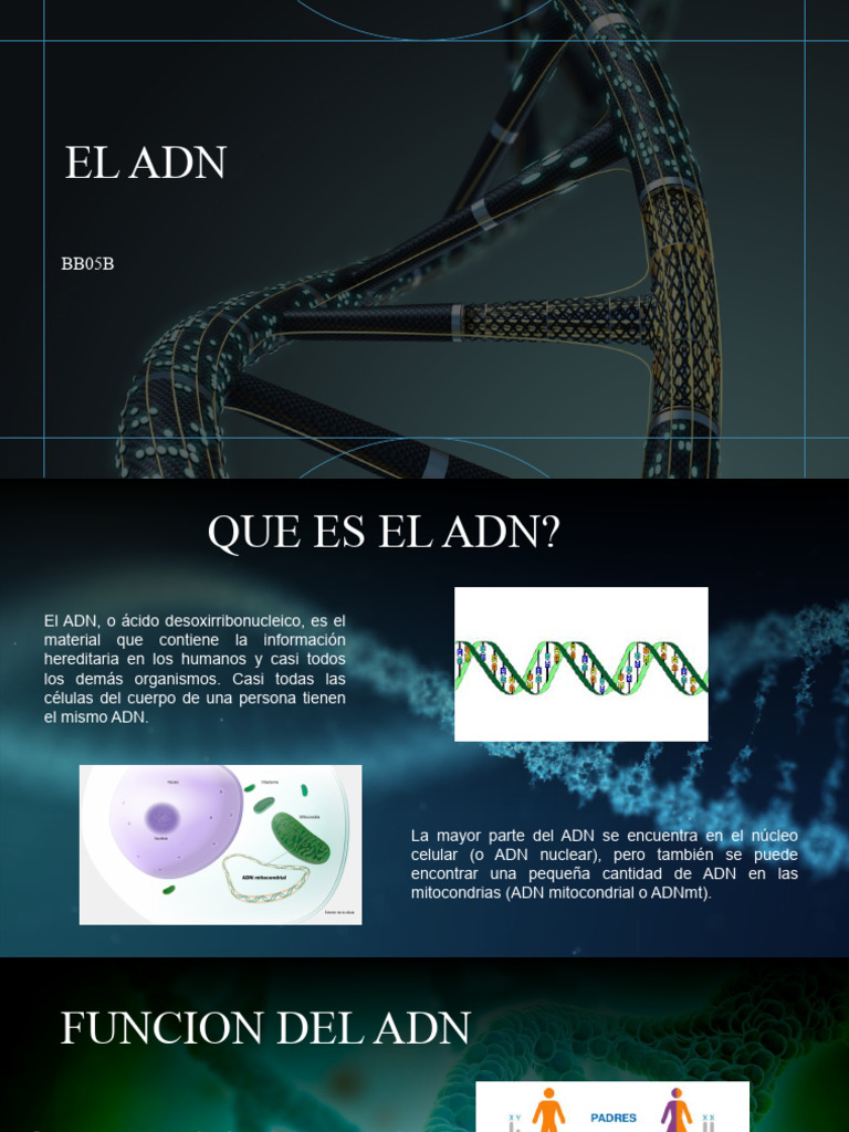 EL ADN | PDF | Replicación De Adn | Adn