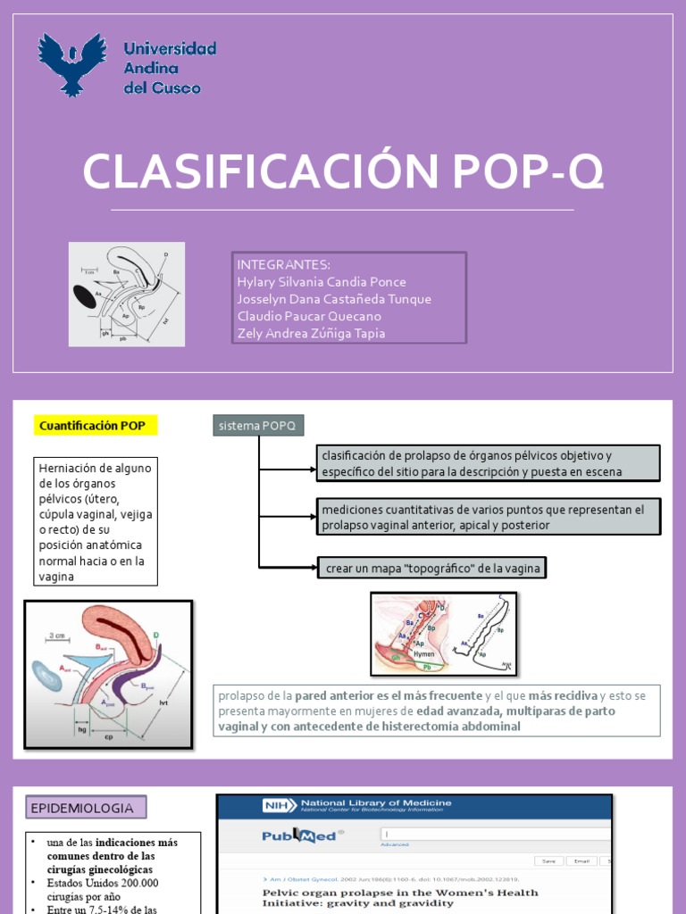 Clasificacion Popq | PDF | Vagina | Medicina CLINICA