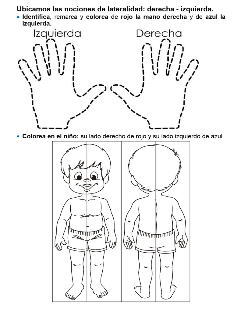 Actividades de Lateralidad para Niños | PDF | Artes del Lenguaje y ...