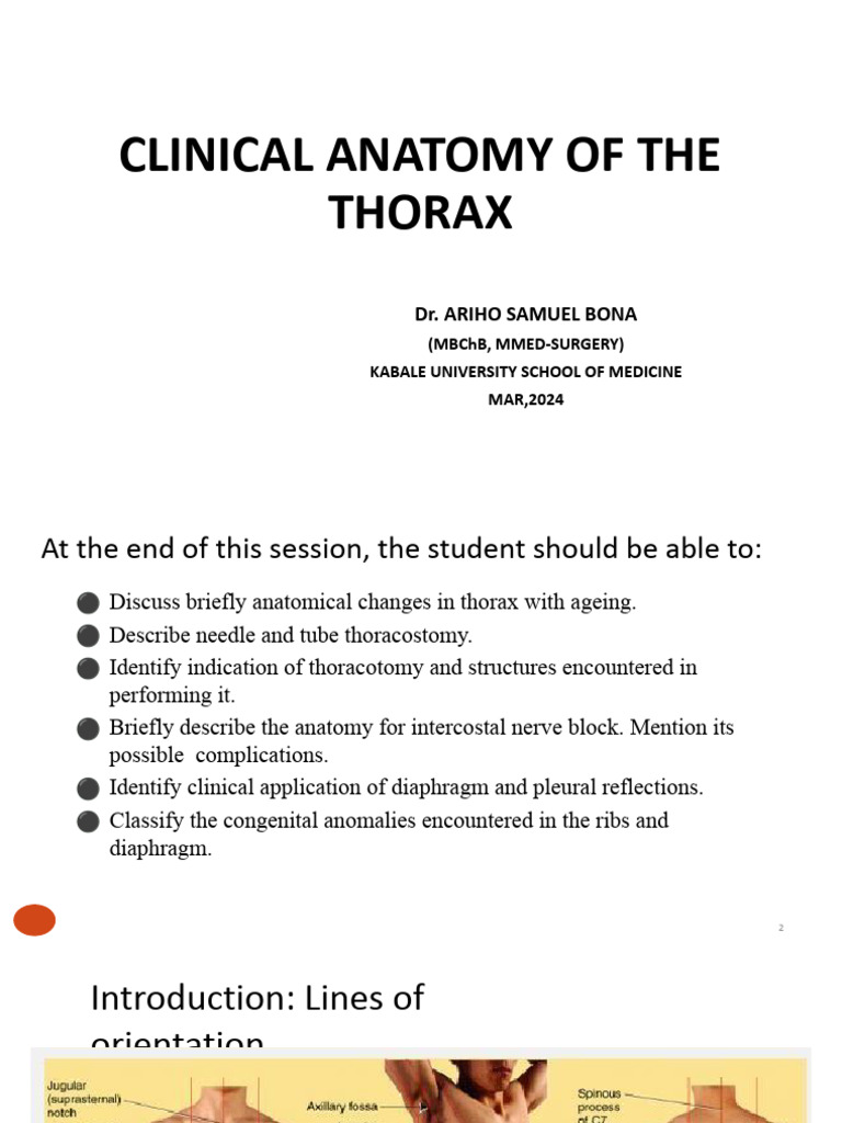Merged Gross Anatomy Thorax | PDF | Vertebra | Lung