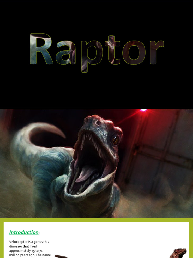 Raptor | PDF