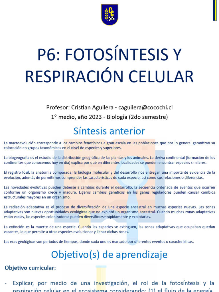 (6) Presentación - Fotosíntesis y respiración celular | PDF | Fisiología