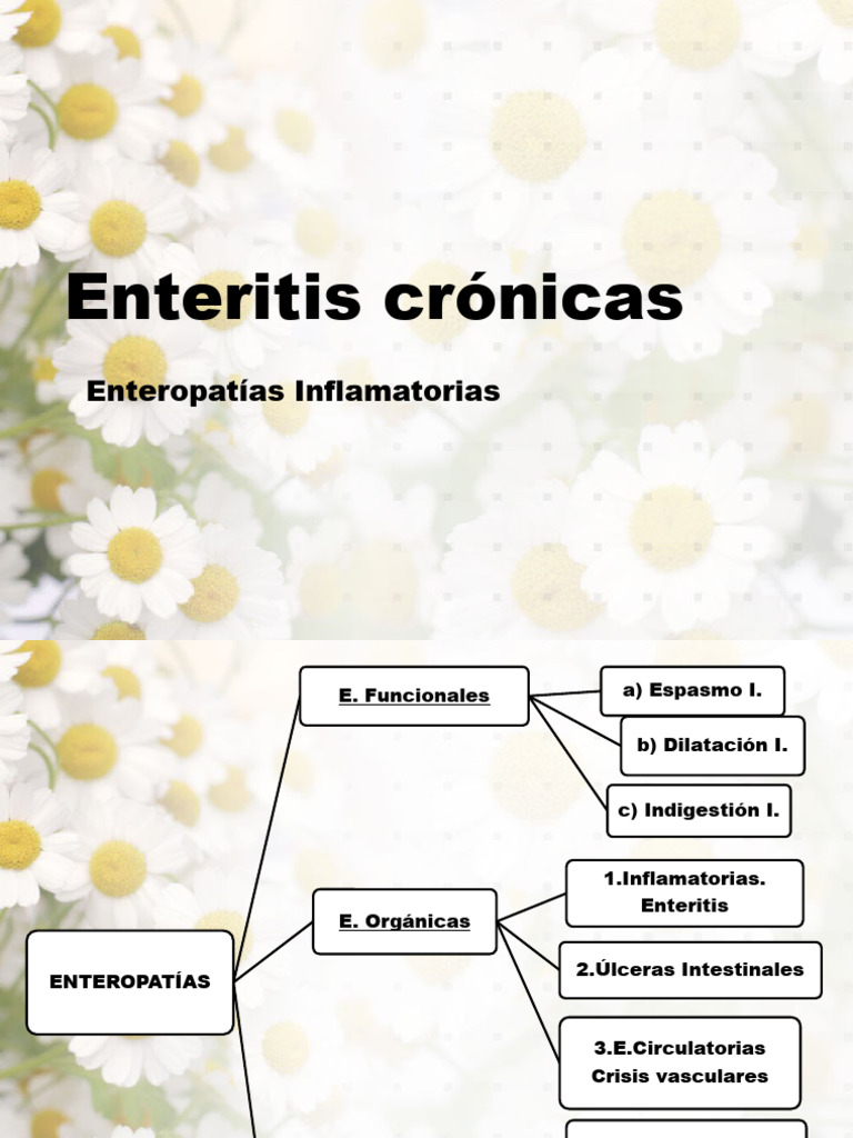 Enteritis Crónicas y Diarrea en Perros | PDF | Diarrea | Inflamación