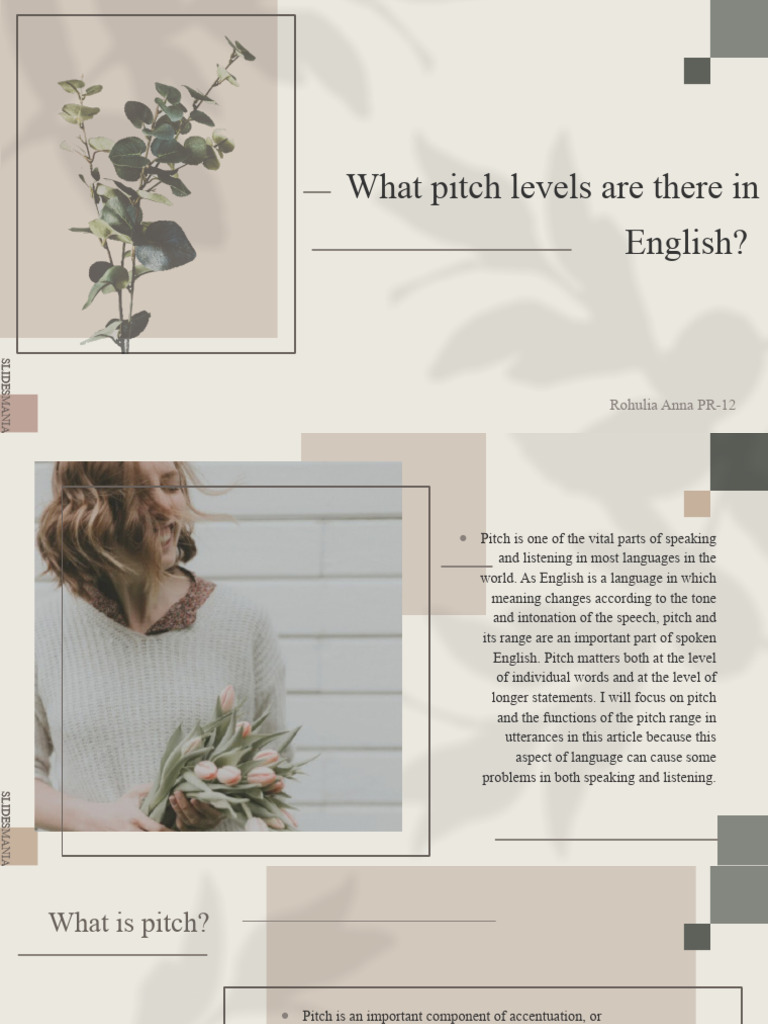 Understanding English Pitch Levels | PDF | Human Voice | Pitch (Music)