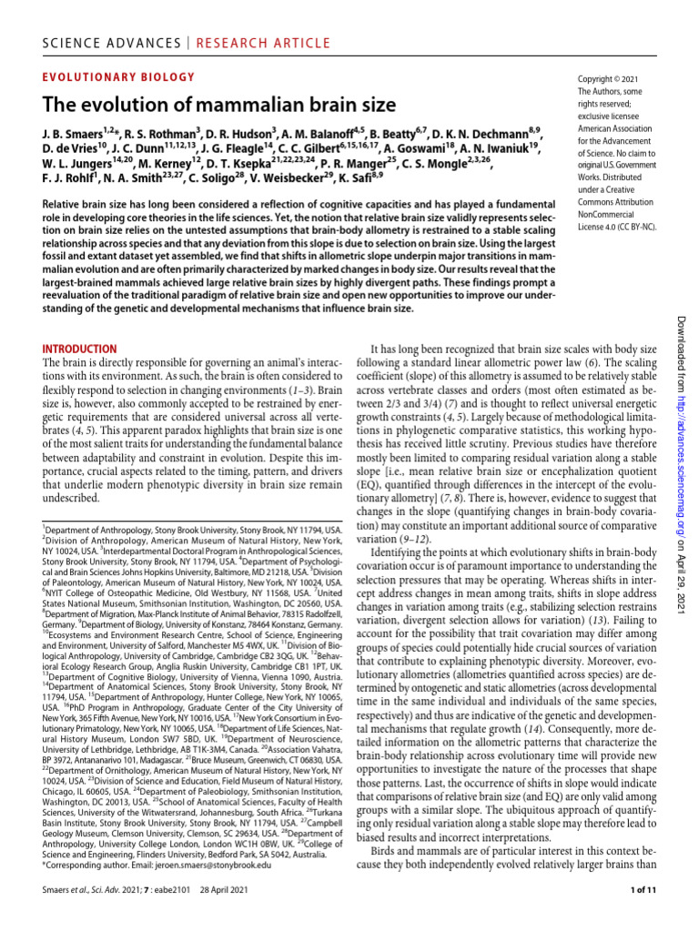 2021-The Evolution of Mammalian Brain Size | PDF | Mammals | Neocortex