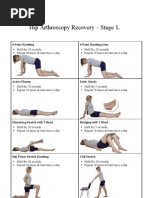 Hip Exercise | PDF