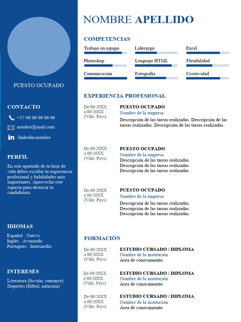 273 Hoja de Vida Azul | PDF