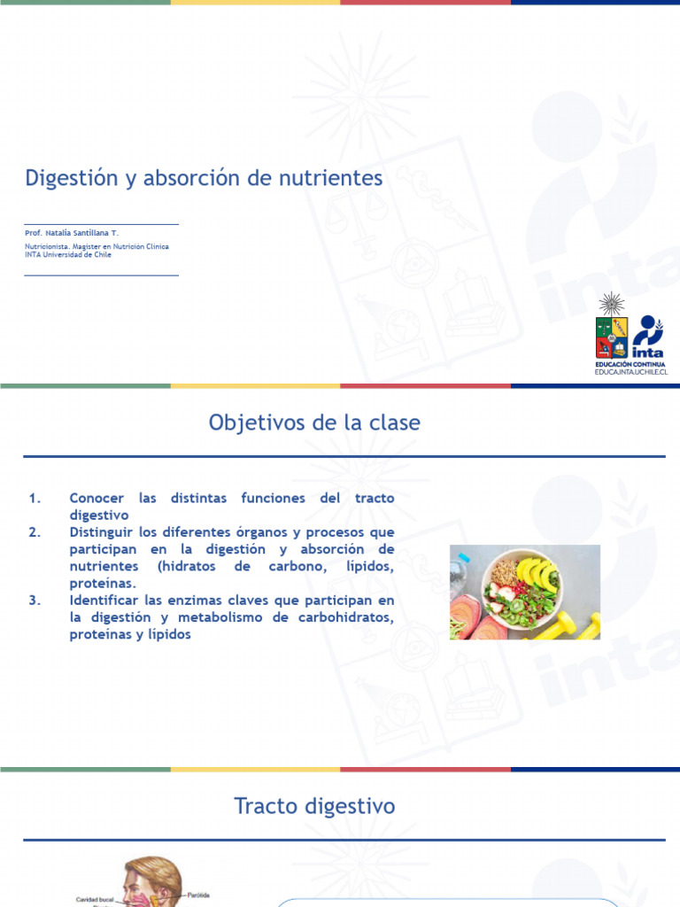 Digestión y Absorción de Nutrientes | PDF | Digestión | Sistema ...
