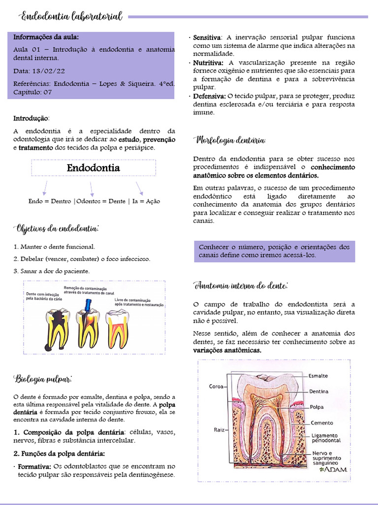 01. ENDODONTIA LABORATORIAL - INTRODUÇÃO À ENDO E ANATOMIA DENTAL ...