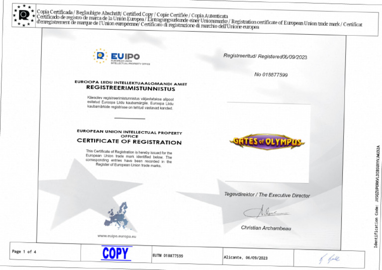 EUIPO No 018877599 Scan | PDF