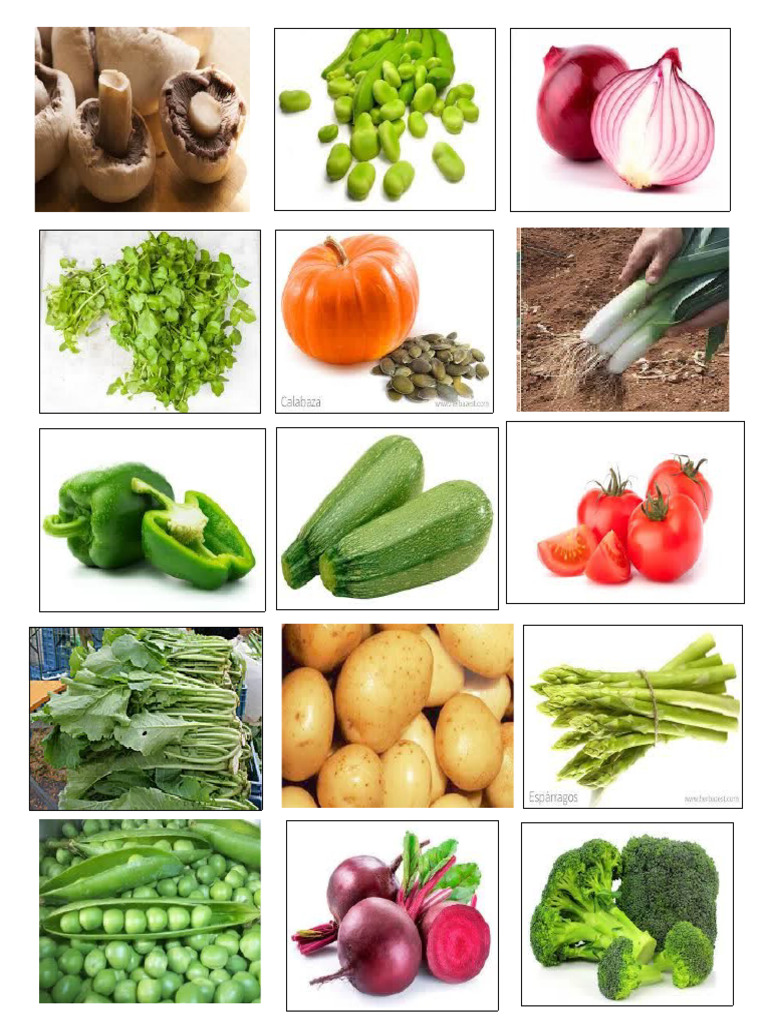 Verduras Pdf