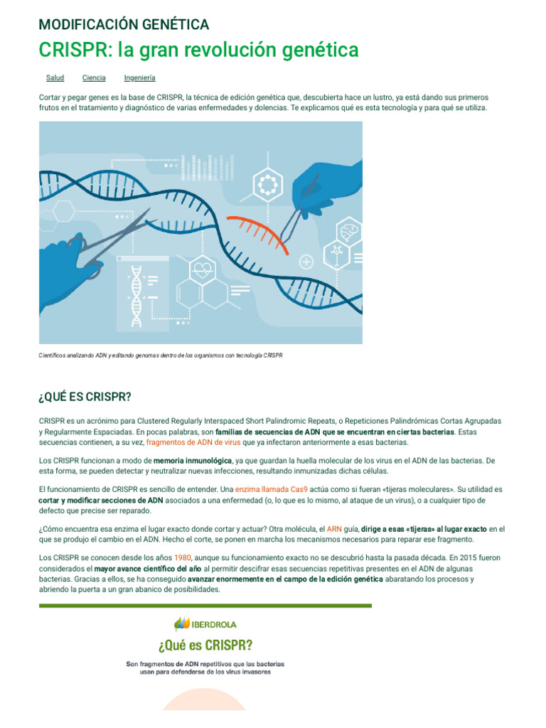 Modificación genética_ CRISPR - Iberdrola | PDF | Crispr | Ingeniería genética