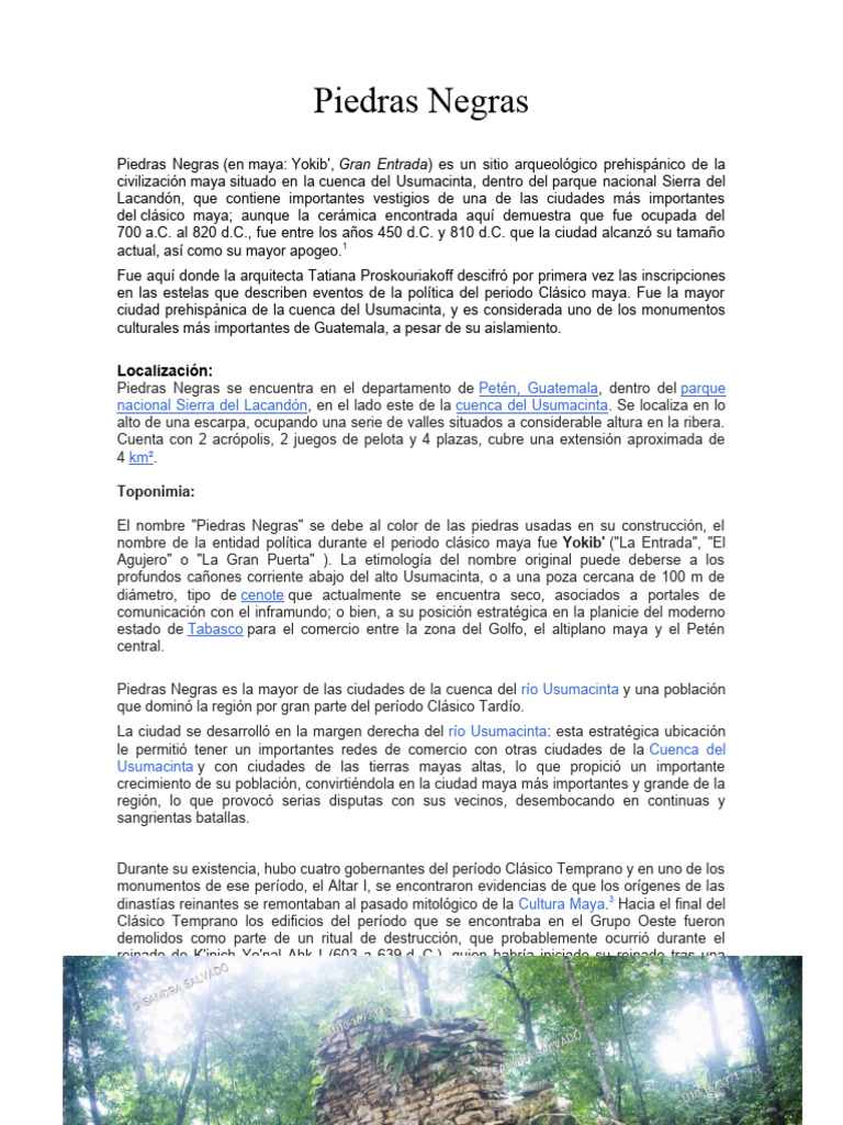 Piedras Negras: Historia Maya y Comercio | PDF | Civilización maya ...