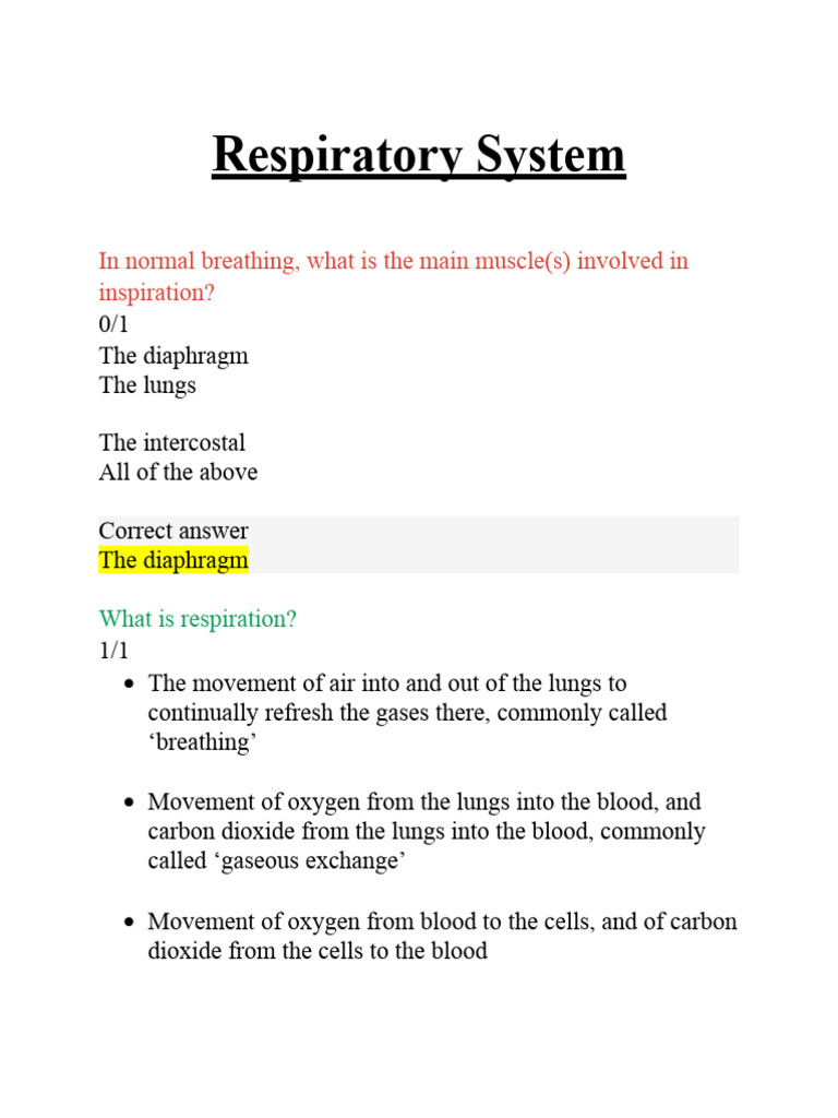 CBT - Respiratory System Edited | PDF | Breathing | Respiratory System