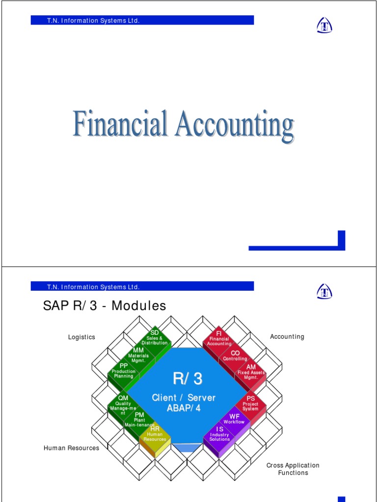 SAP_FI | Debits And Credits | Balance Sheet | Free 30-day Trial | Scribd