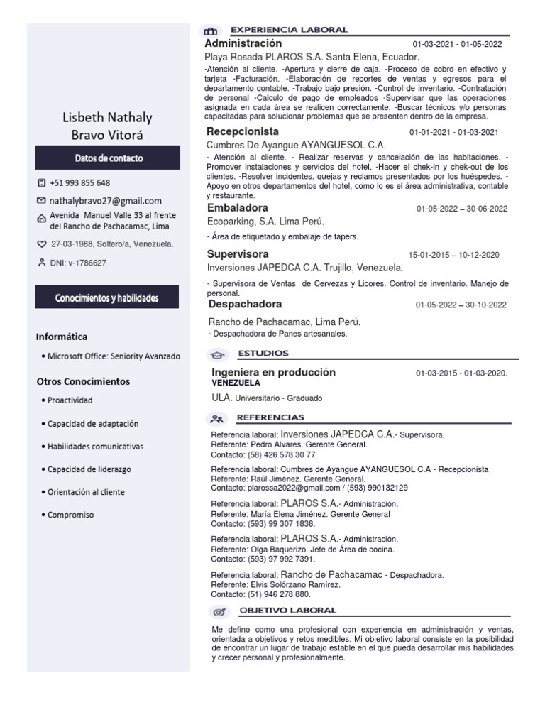 Curriculum Vitae en Resumen | PDF