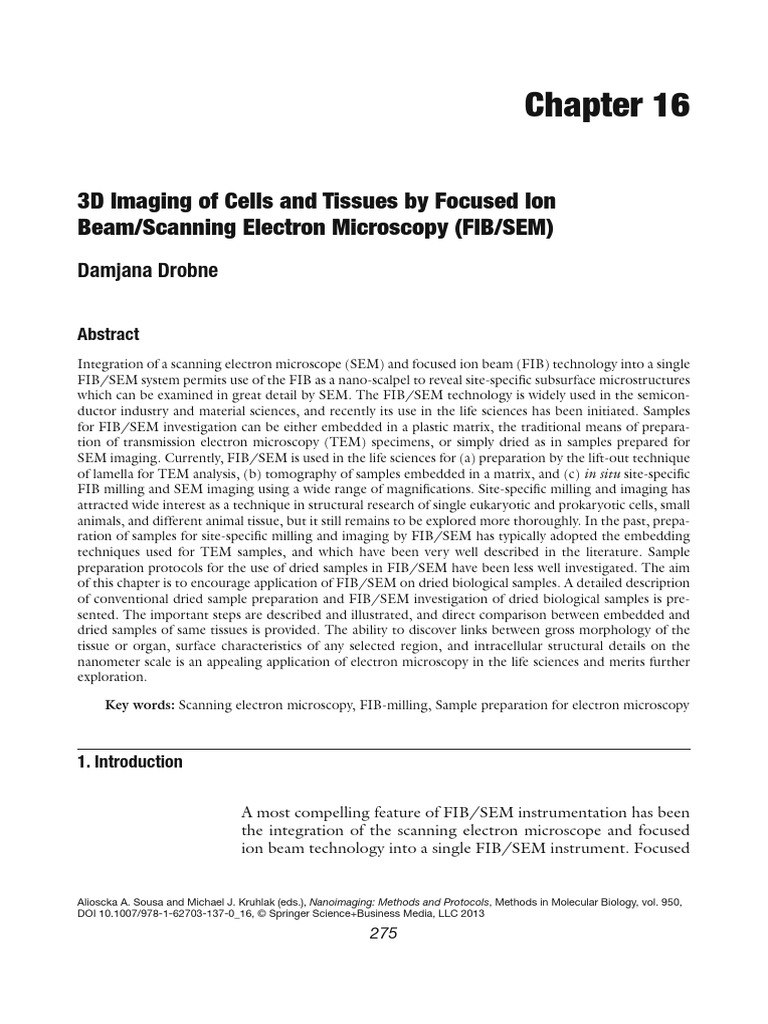 3D Imaging of Cells and Tissues by Focused Ion | PDF | Scanning ...