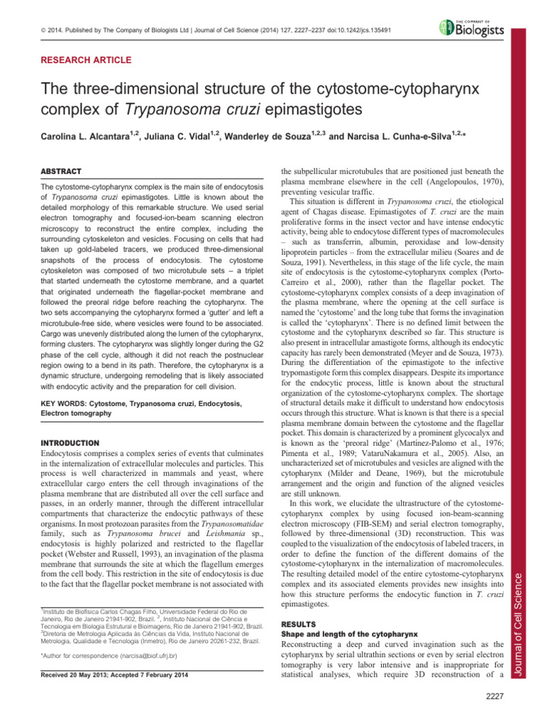 The Three-Dimensional Structure of The Cytostome-Cytopharynx | PDF ...