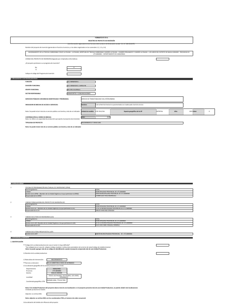 FORMATO 7A - PALMAS - ZUBIATE | PDF | Asociación público-privada ...