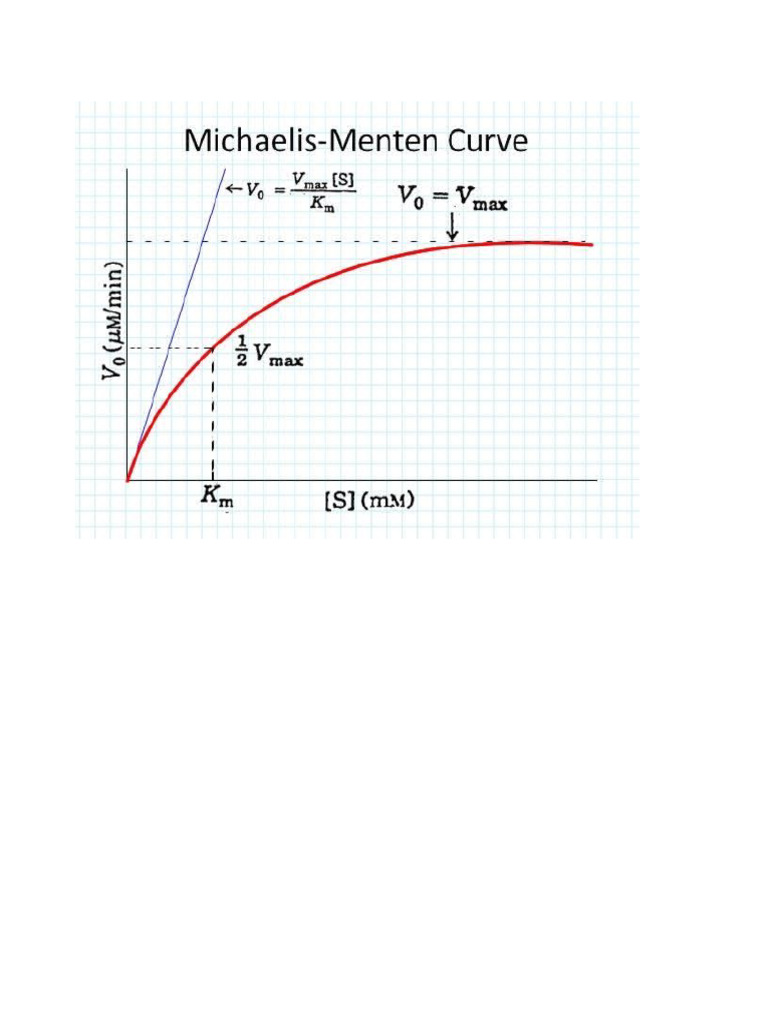 Michaelis Menton Plot Graph | PDF