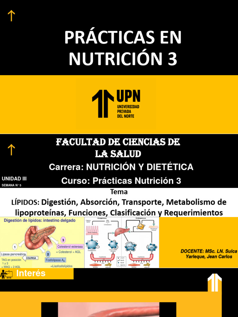 CLASE 05 - PN3 - Listo | PDF | Lipoproteína | Lípido