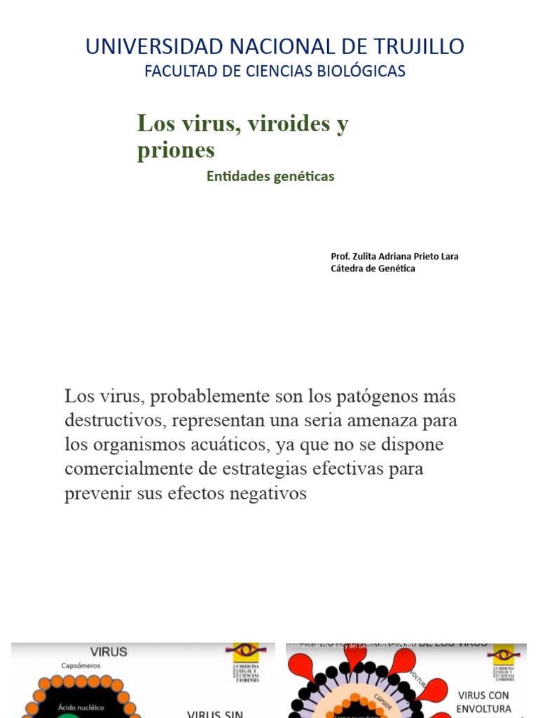 CLASE #3 Los Virus, Viroides y Priones | PDF | Virus | Rna