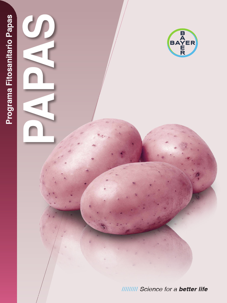 Programa Papas en Baja JUNIO 2019.. | PDF | Patata | Plantas