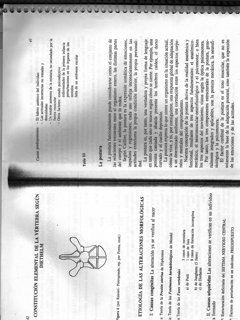 Postura Tribastone | PDF