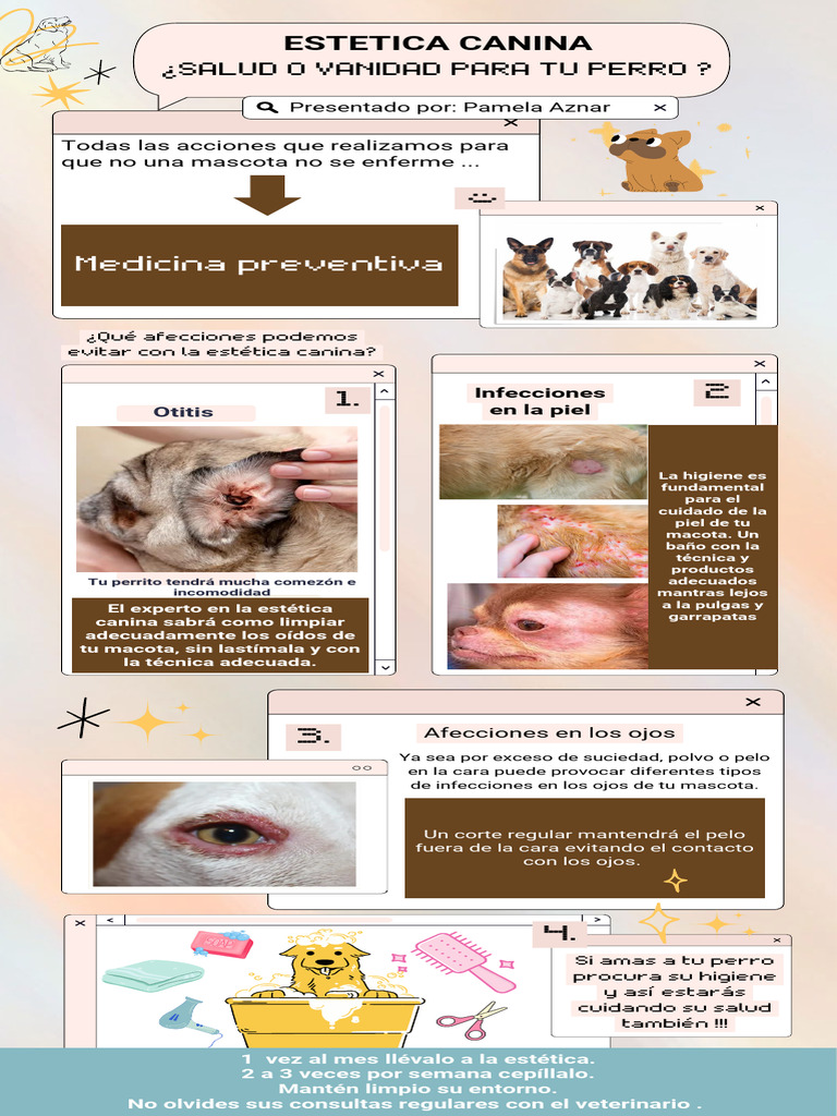 Infografía de Estetica Canina | PDF